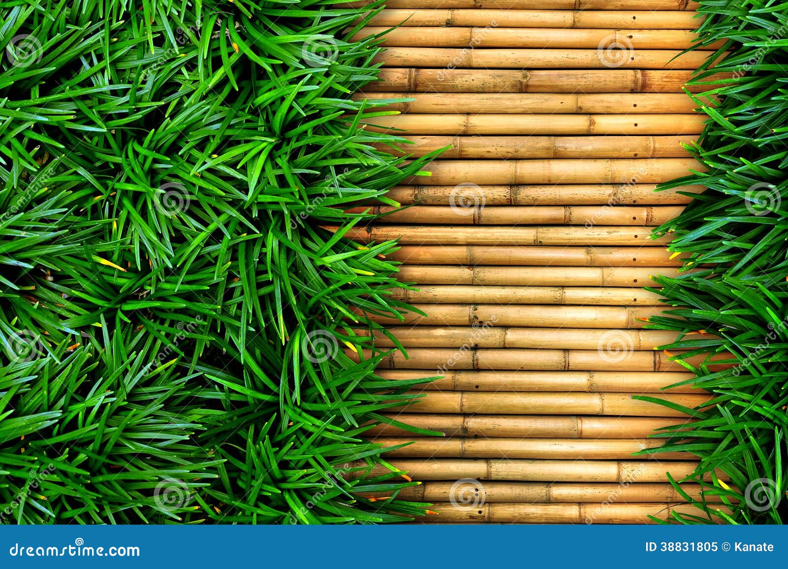 Green grass on bamboo stock image. Image of detail, urban - 38831805