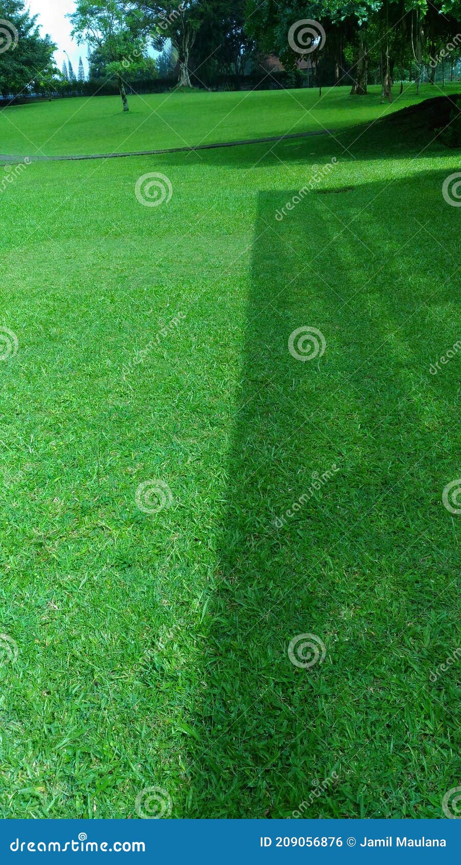Green Grass in Black Shadow Stock Photo - Image of shadow, black: 209056876