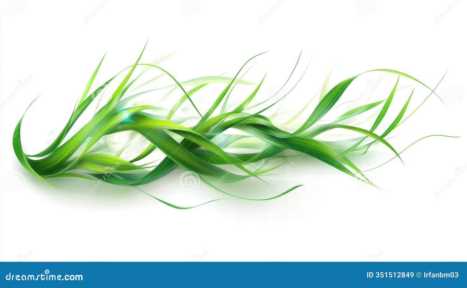 Green Grass Blades Flow and Curl Gracefully on White Background, Nature ...