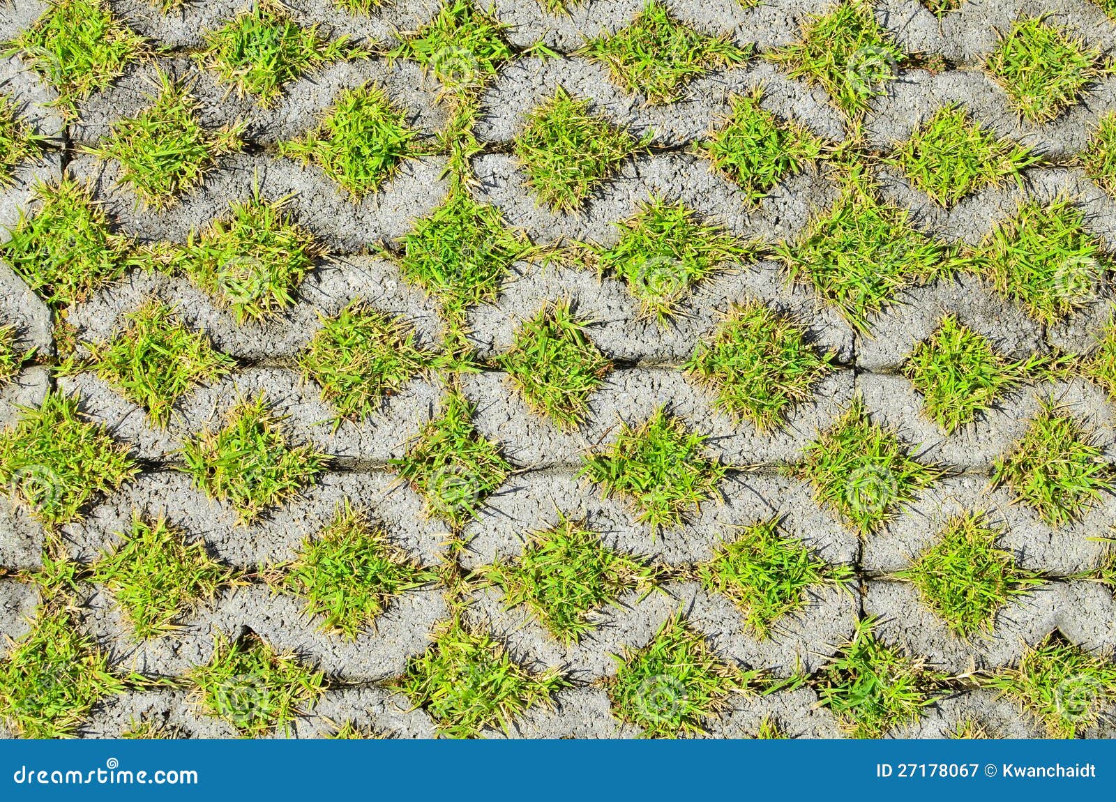 Green Grass in the Block Brick Stock Image - Image of summer, material ...
