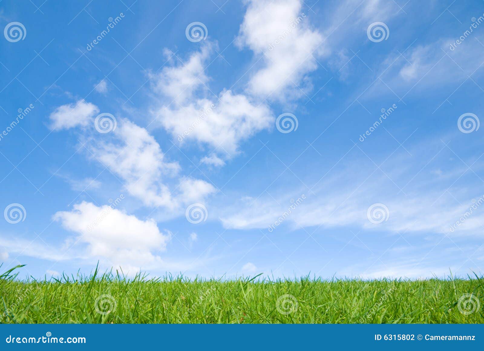 Green Grass, Blue Sky Picture. Image: 6315802