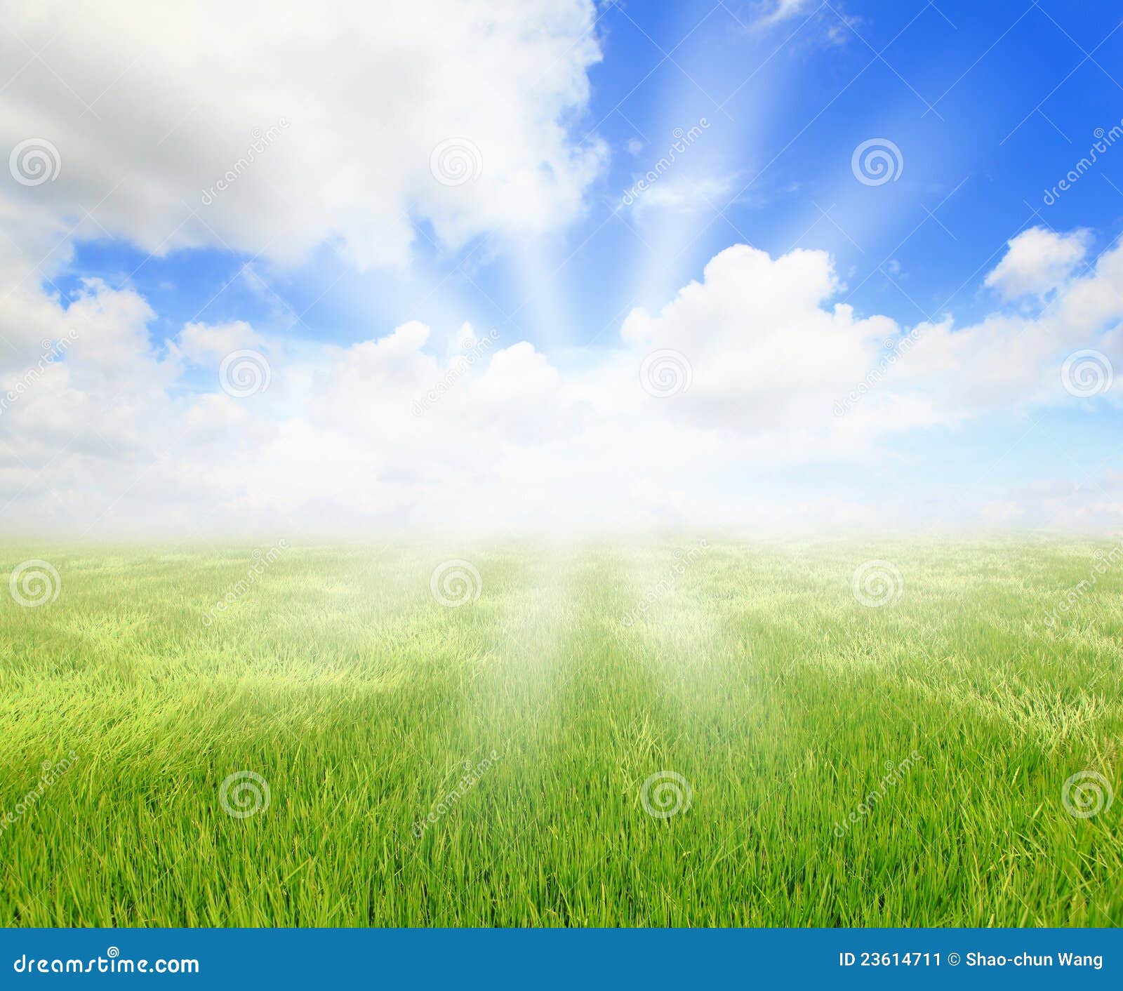Green Grass with Blue Sky and Beautiful Sunshine Stock Image - Image of ...