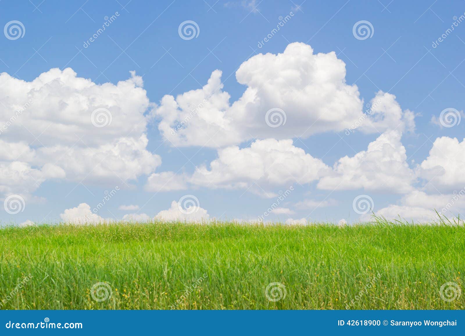 Green Grass and Blue Sky with Clouds Stock Photo - Image of green ...