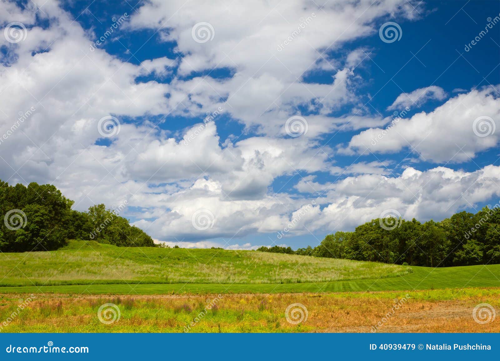 Green Grass and Blue Sky with Clouds Stock Image - Image of cloud ...