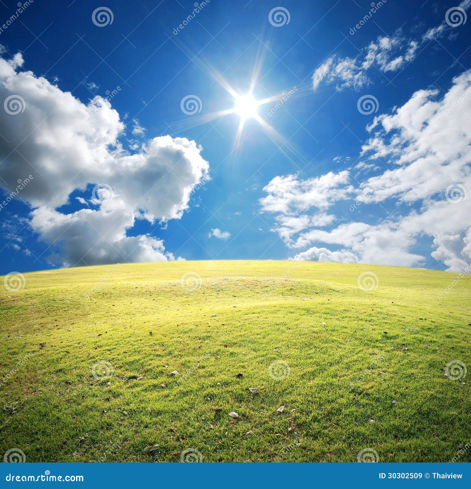 Green grass blue sky stock image. Image of country, fresh - 30302509