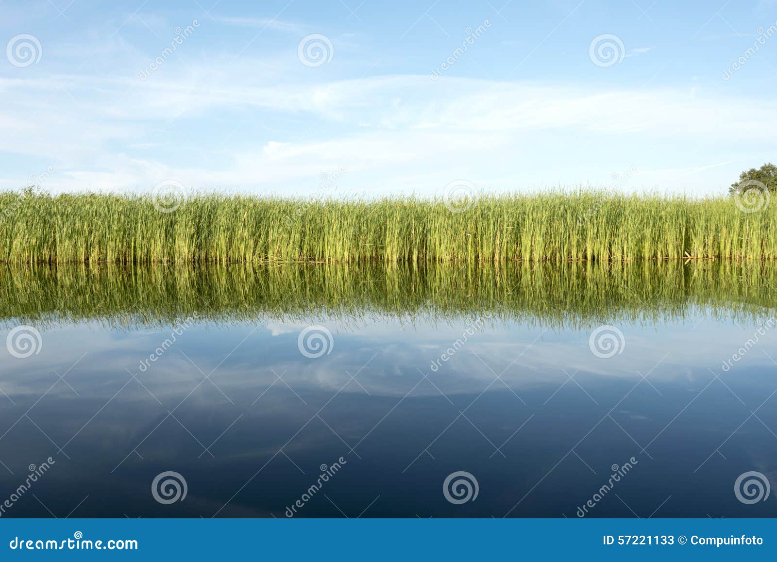 Green Grass with Blue Sky and Water Stock Image - Image of meadow ...