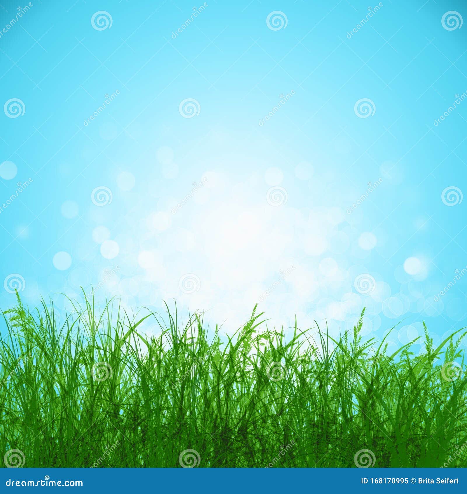 Green Grass and Blue Sunny Sky Spring Landscape. Perfect for ...
