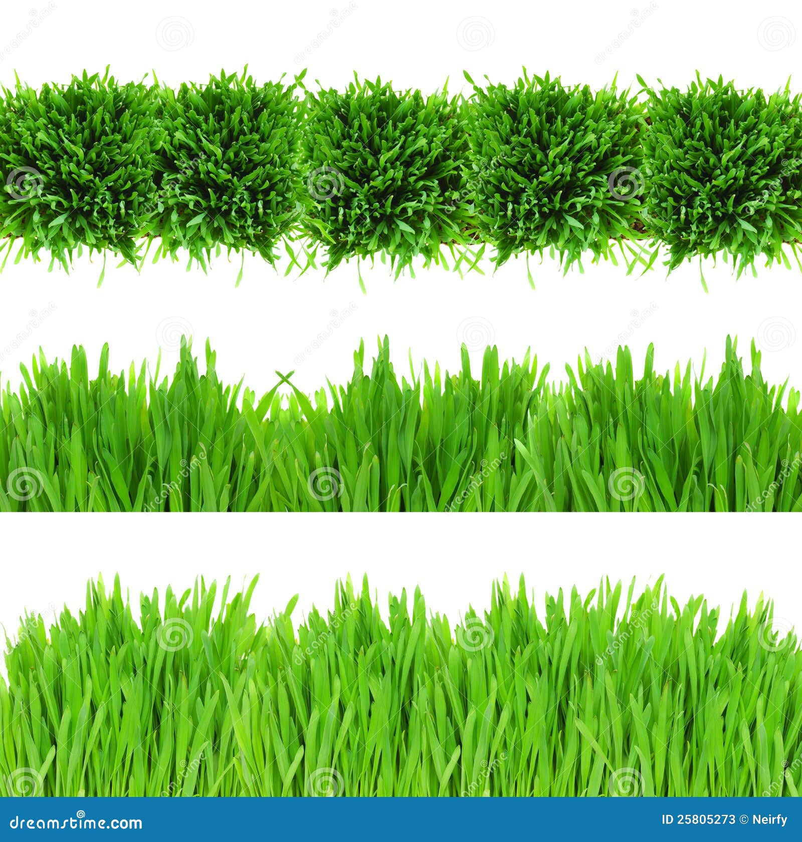 Green grass border stock image. Image of environment - 25805273