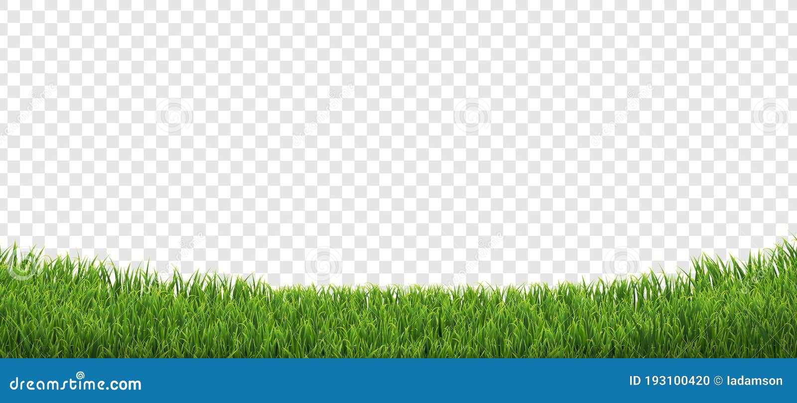 Green Grass Border Isolated Transparent Background Stock Vector ...