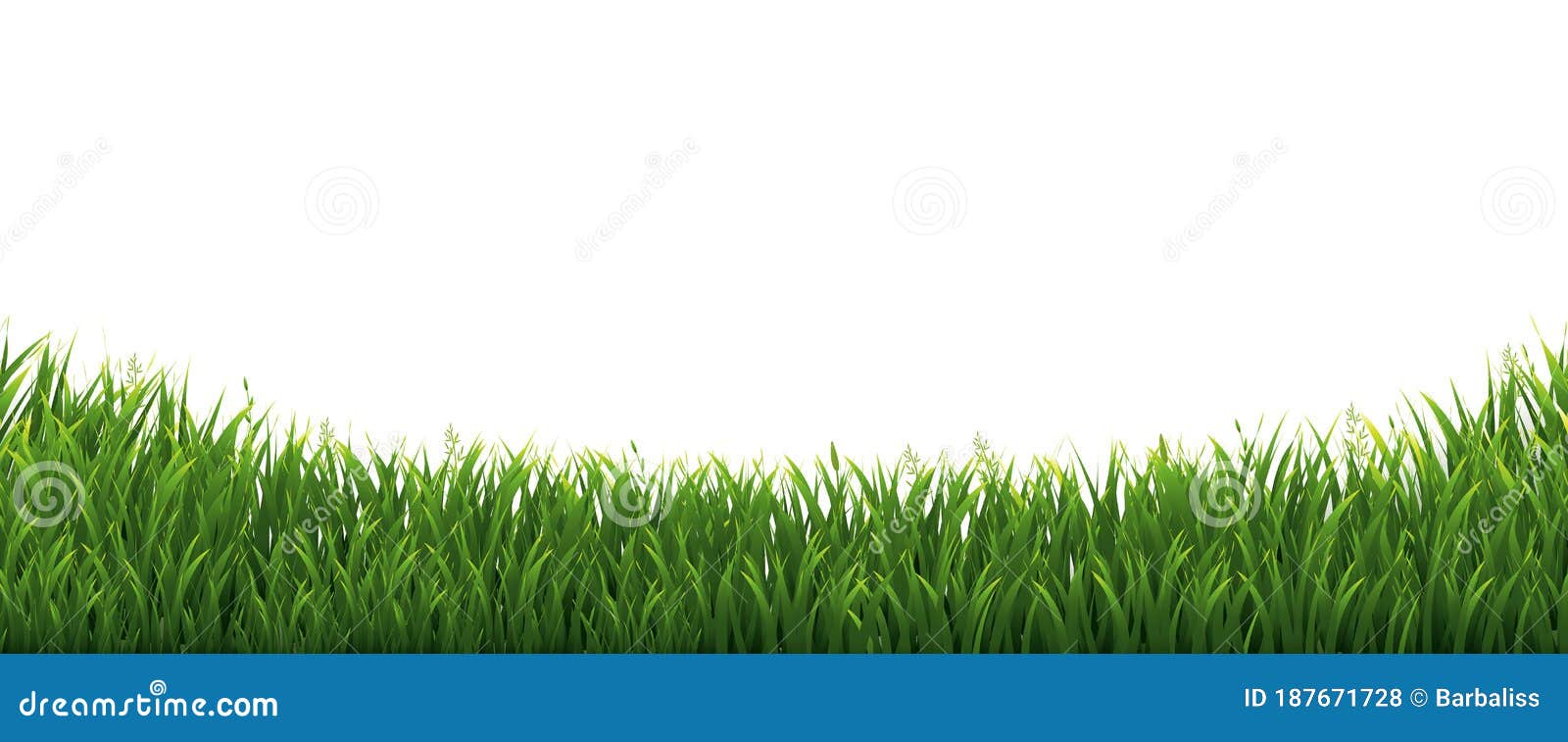 Green Grass Border in Isolated White Background Stock Vector ...