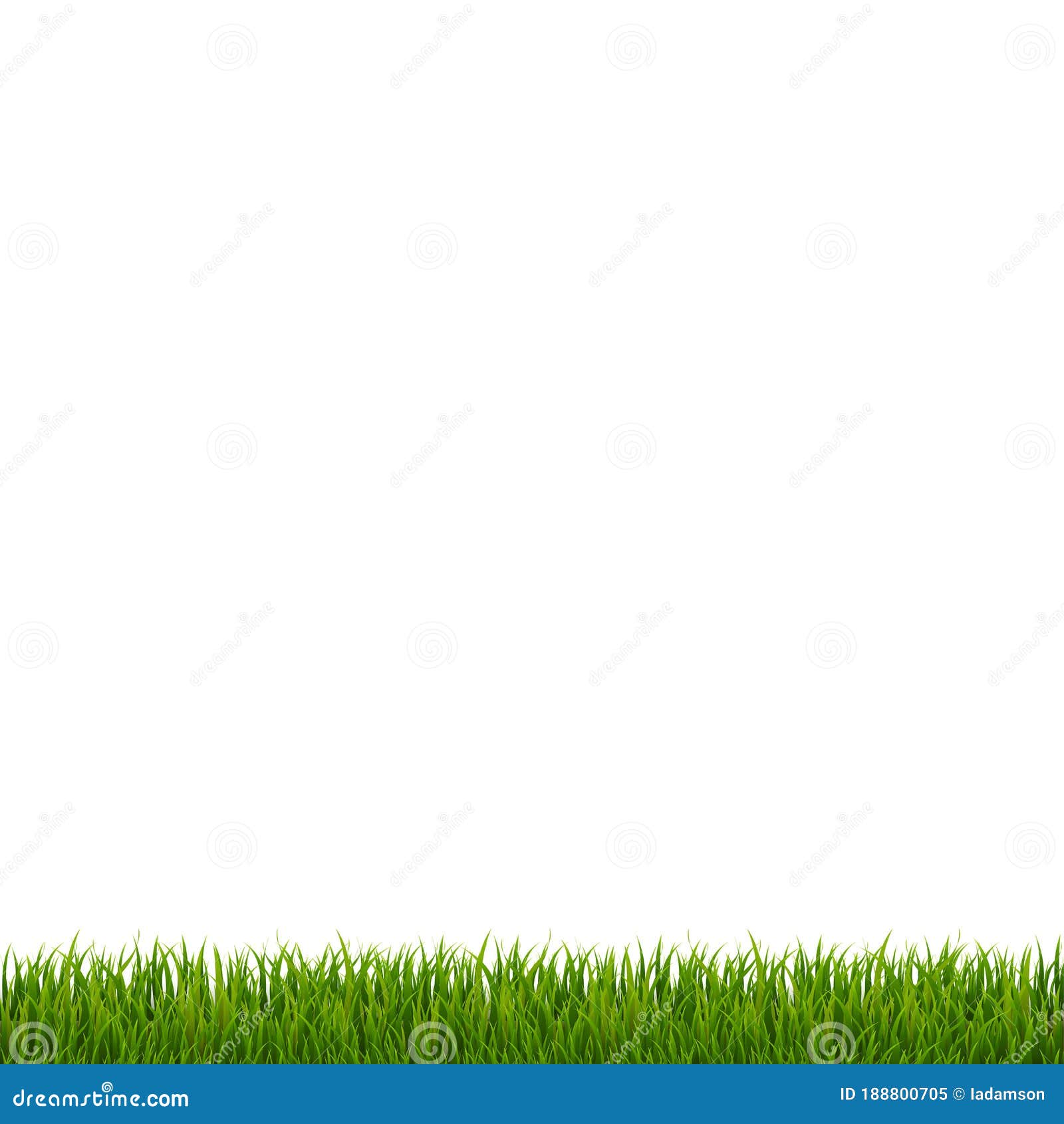 Green Grass Border stock vector. Illustration of border - 188800705