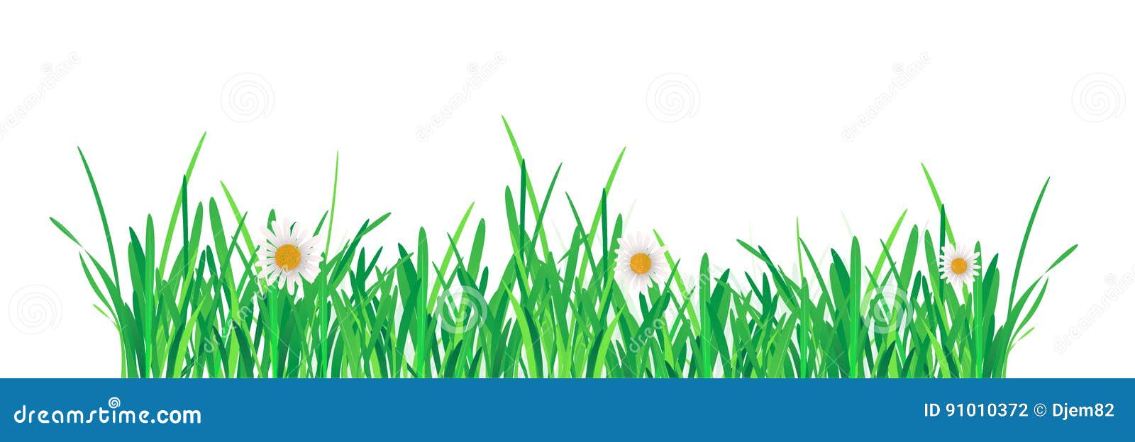 Green Grass Border. stock vector. Illustration of ecosystem - 91010372