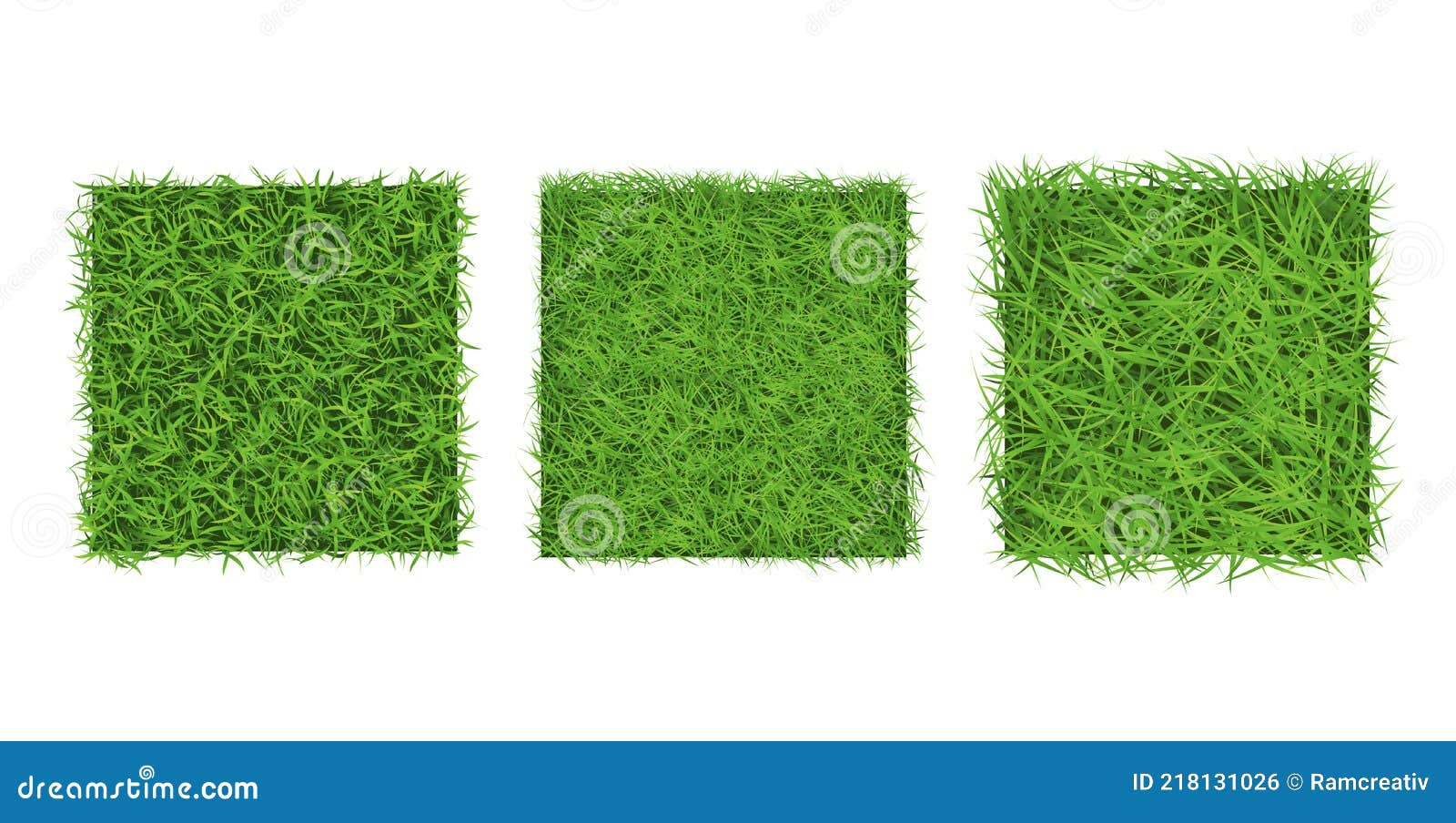 Green Grass Border on White Background, Top View. Background Square ...