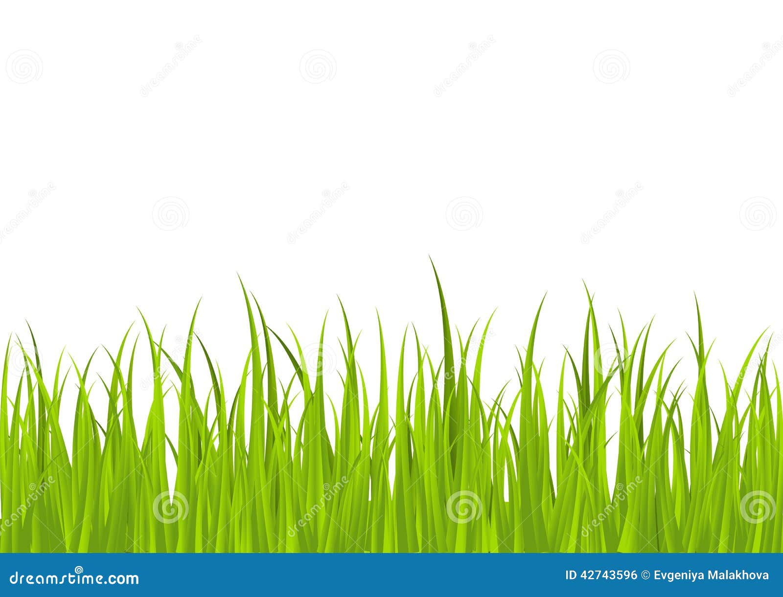 Green grass border stock vector. Illustration of summer - 42743596