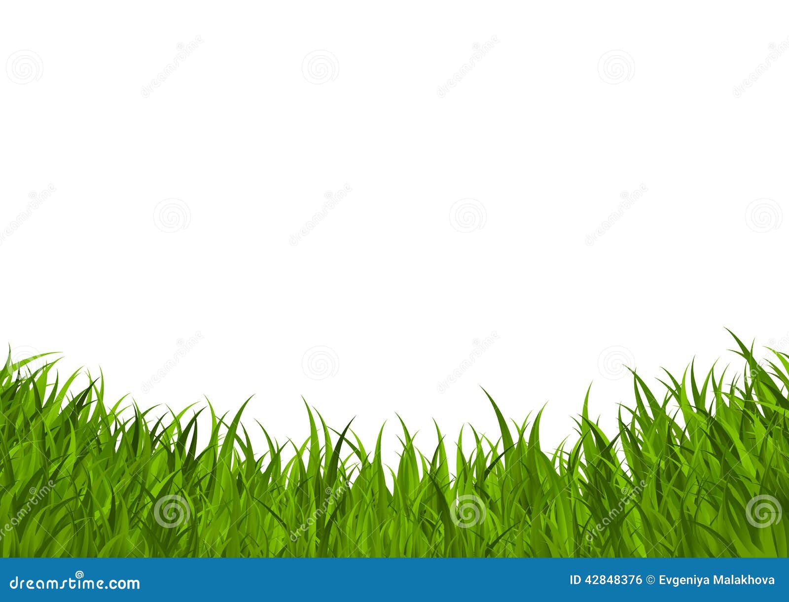 Green grass border stock vector. Illustration of vector - 42848376
