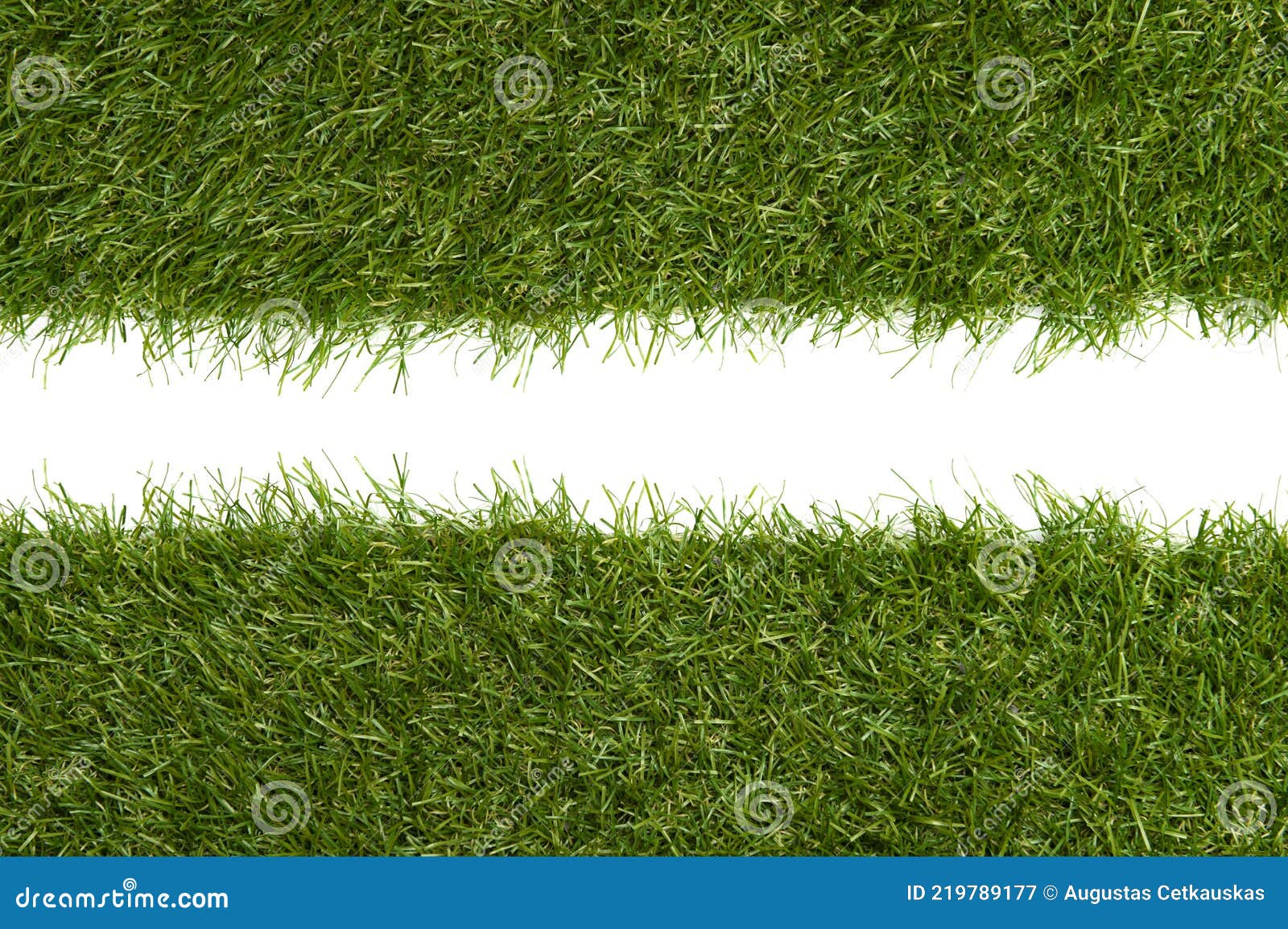 Grass Borders Stock Image | CartoonDealer.com #77222233