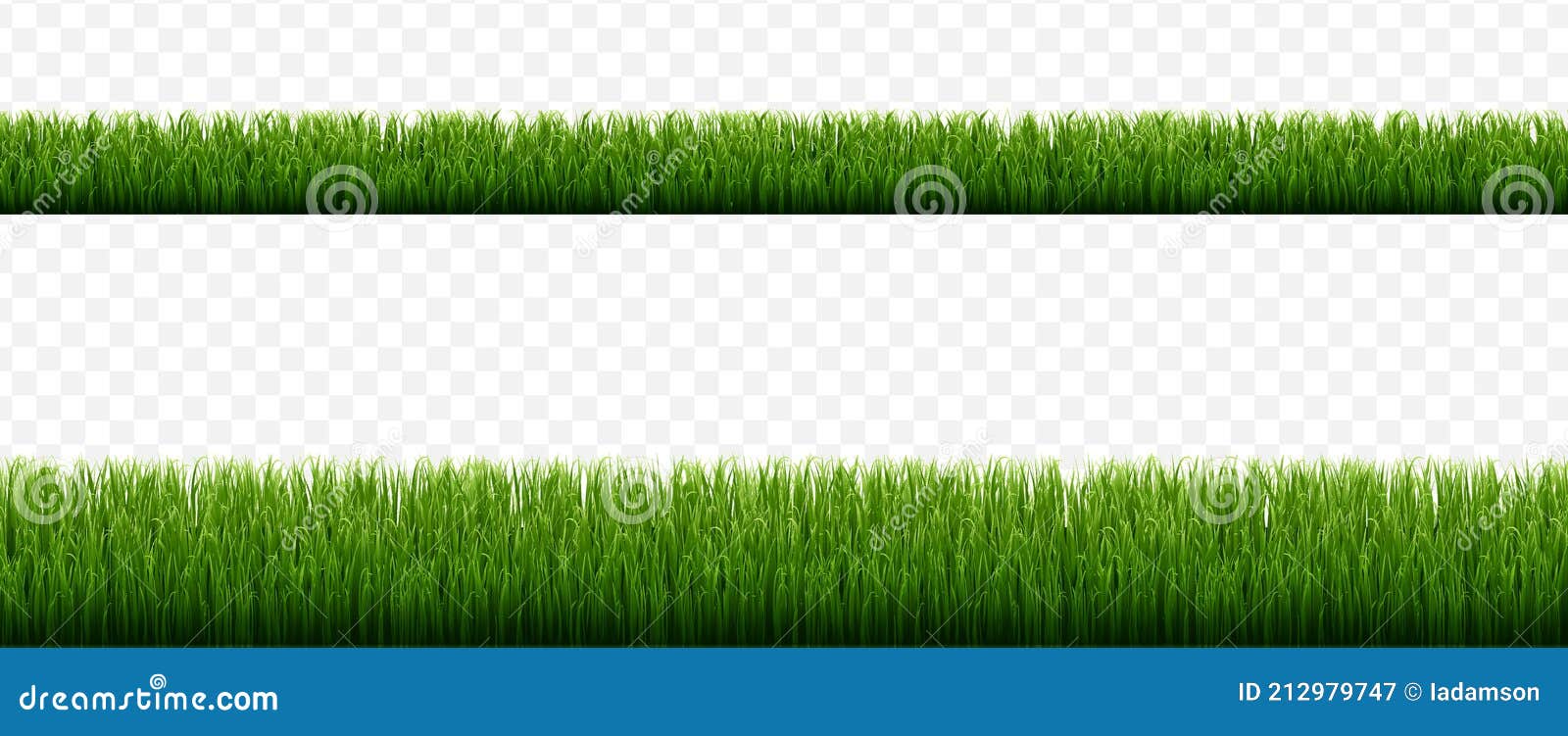 Green Grass Borders with Isolated Transparent Background Stock Image ...