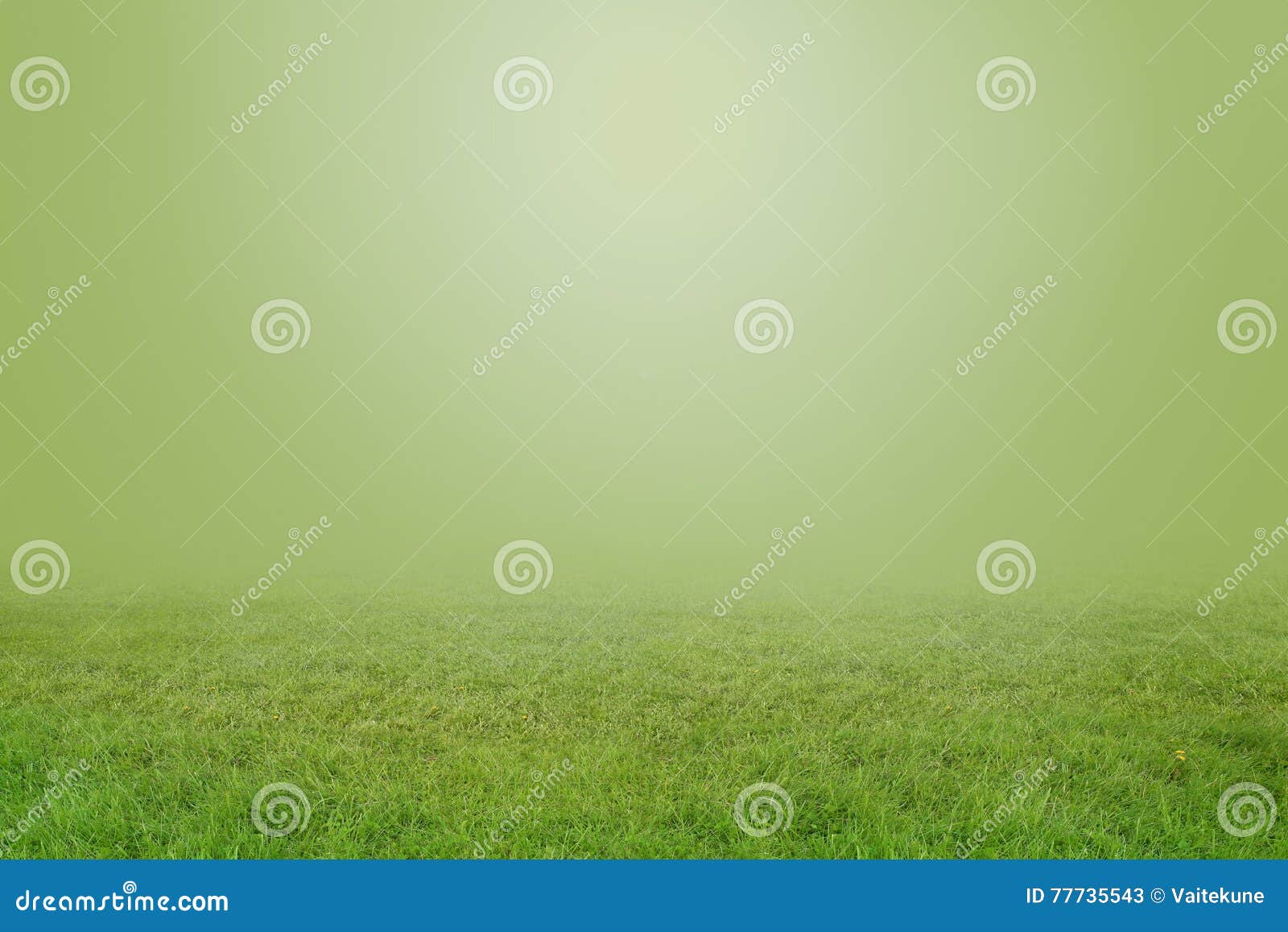 Green grass on bottom. stock image. Image of grass, background - 77735543