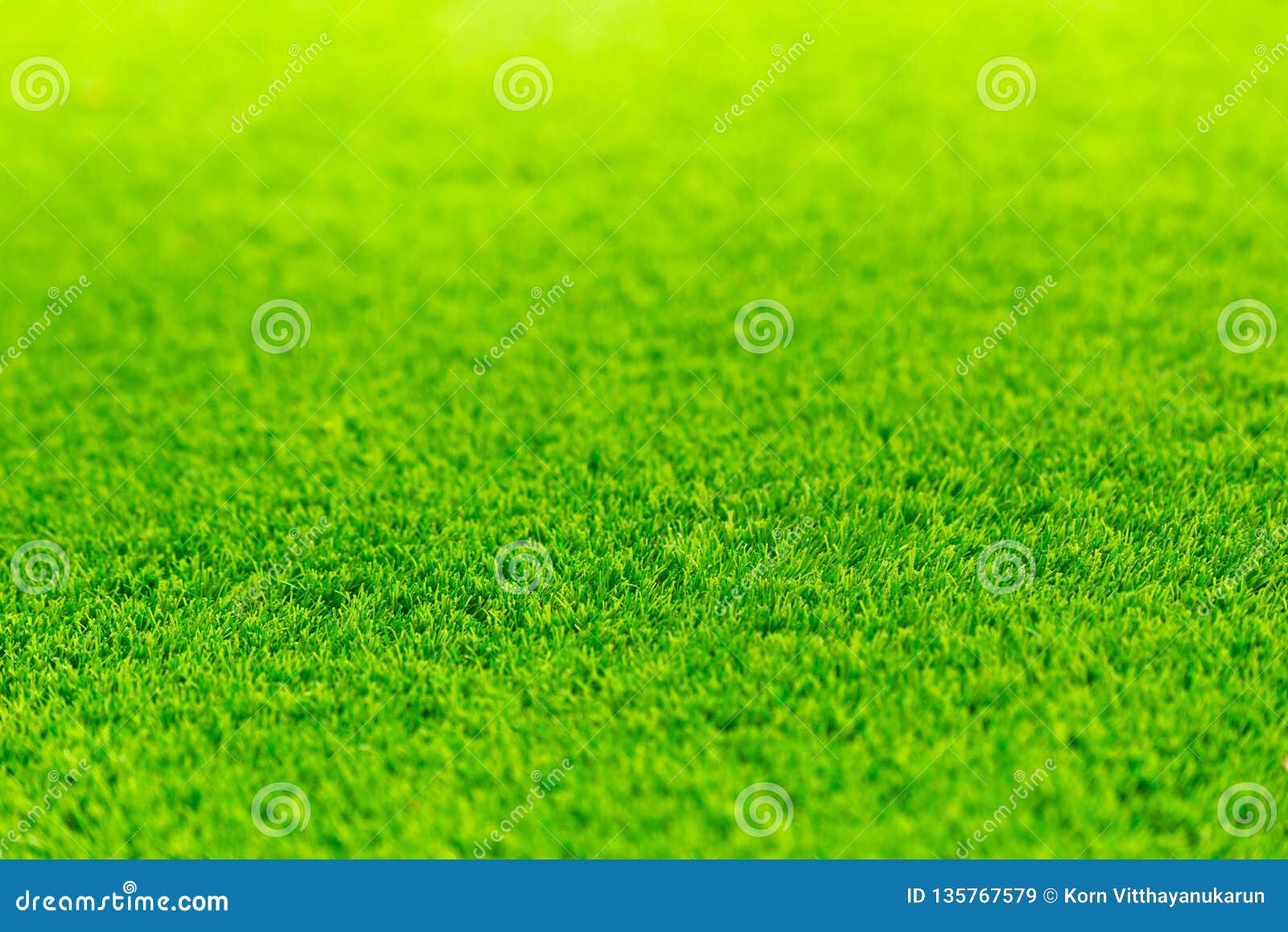Green Grass Bright Vivid Field Empty Space Stock Image - Image of ...