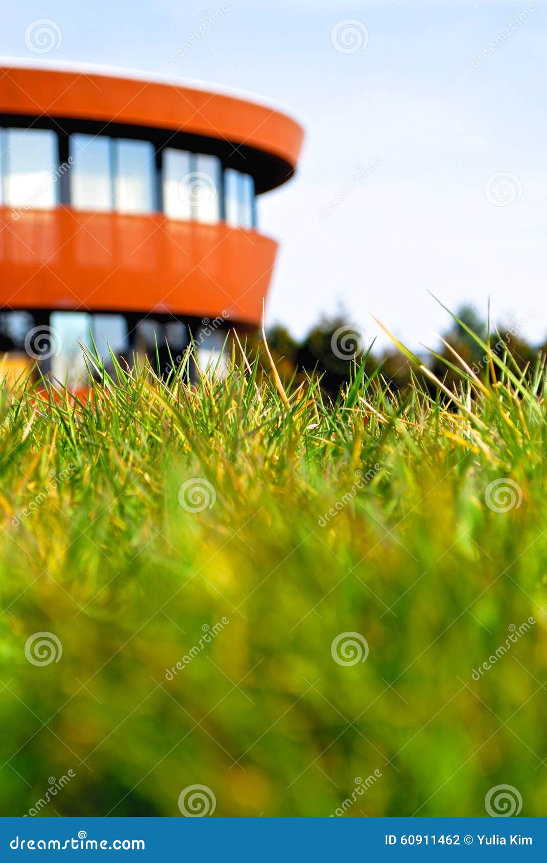 Green Grass with Building on a Background Stock Photo - Image of clear ...
