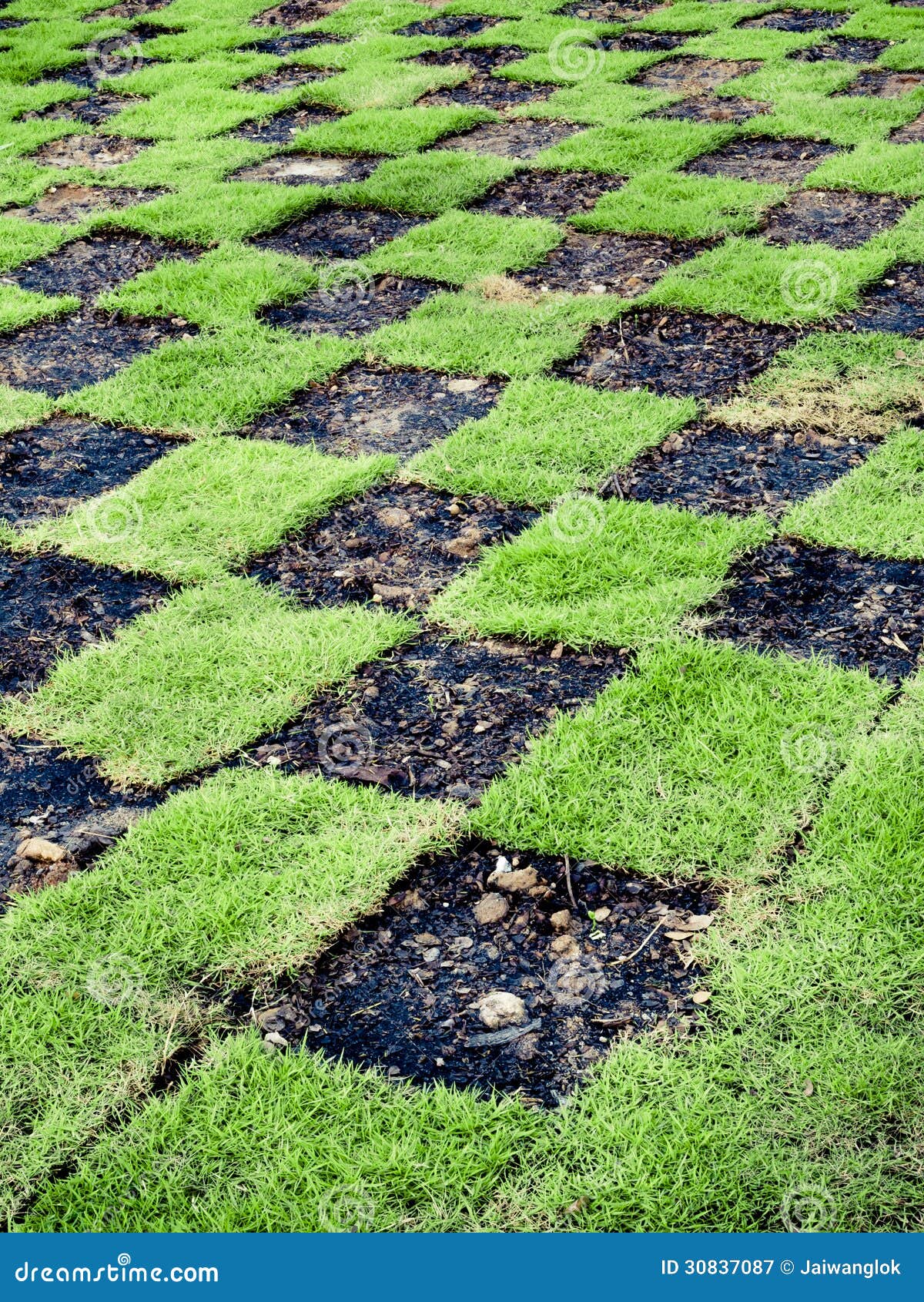 Green grass stock image. Image of checker, grid, checkerboard - 30837087