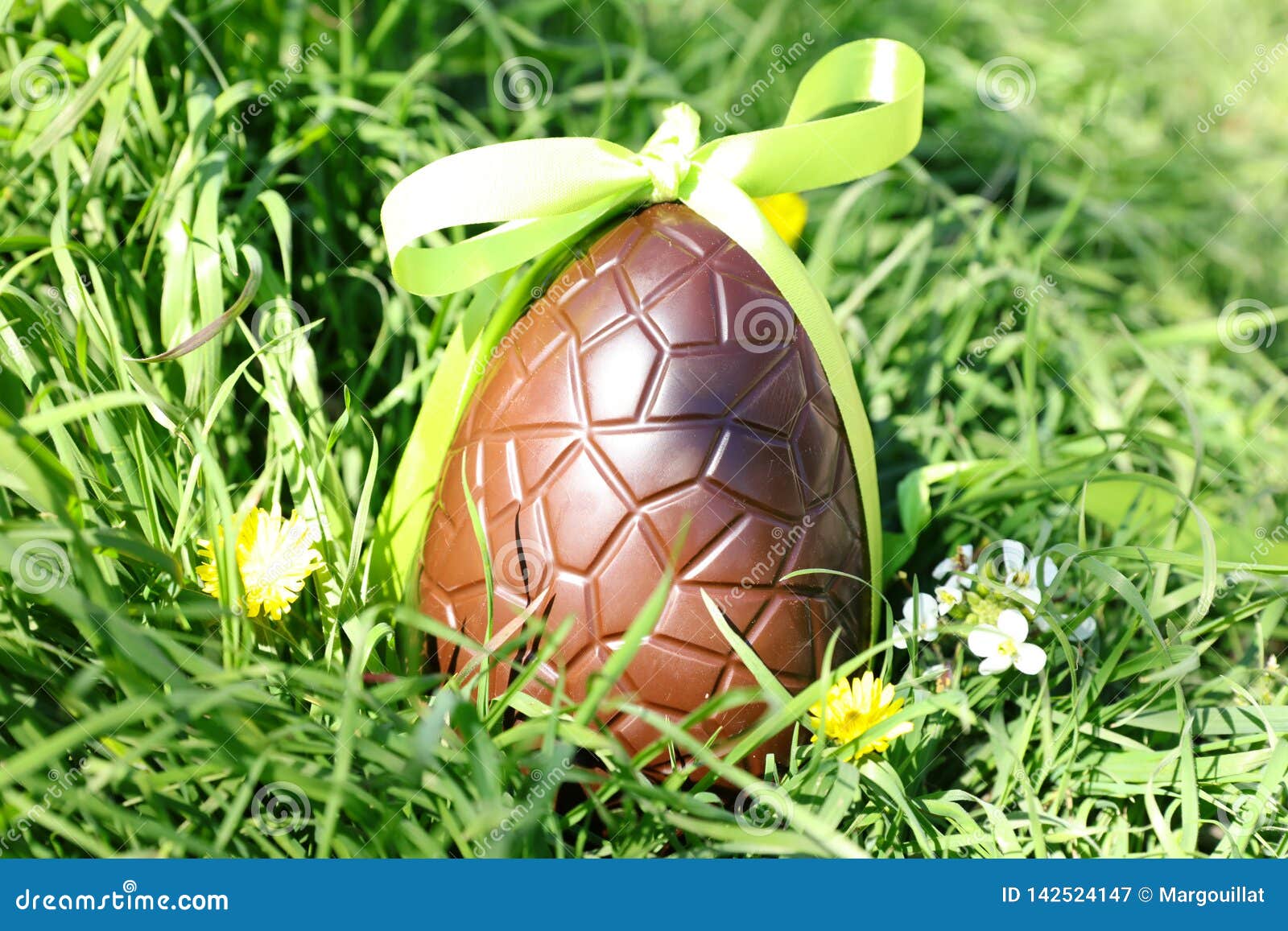 Green Grass and Chocolate Egg Stock Image - Image of flower, grass ...