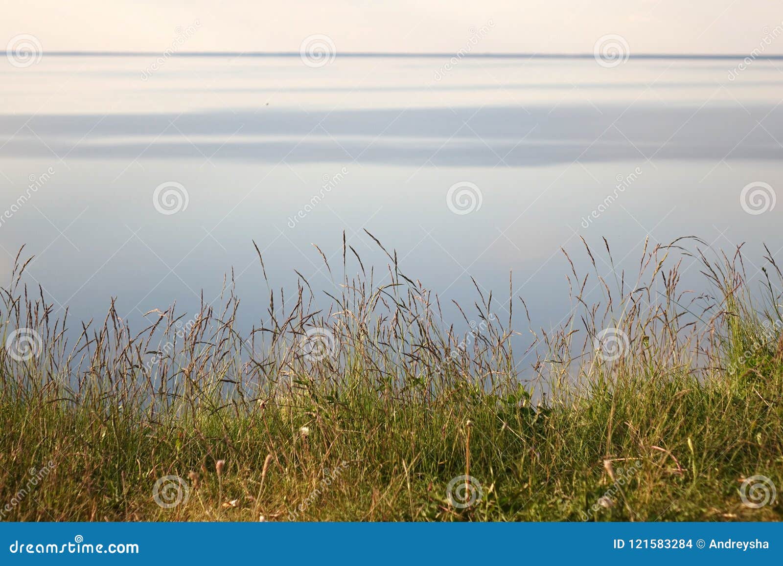 Green Grass is on a Cliff Above the Sea. Stock Photo - Image of ...