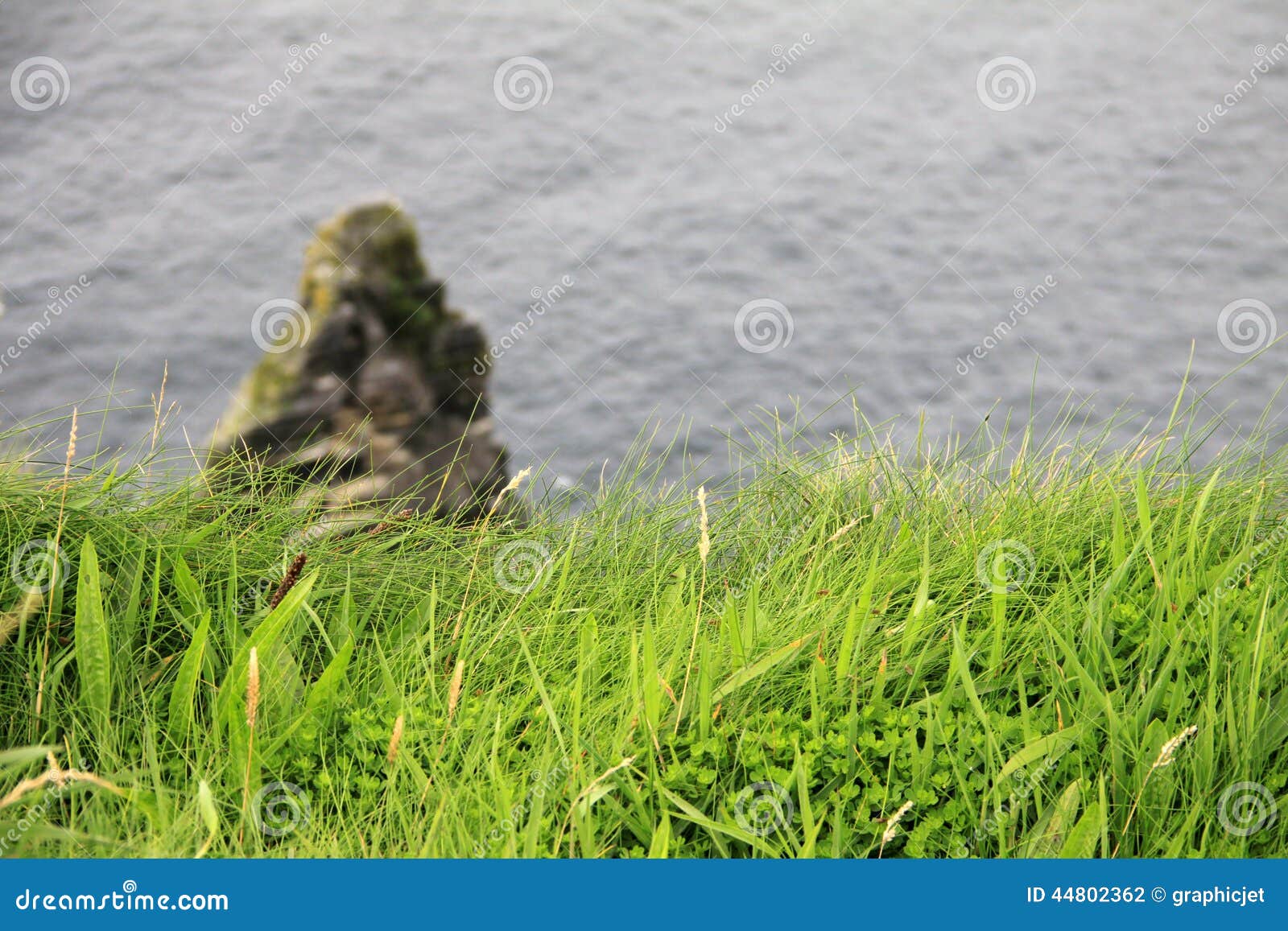 Green Grass on the Cliffs of Moher, Ireland Stock Photo - Image of ...