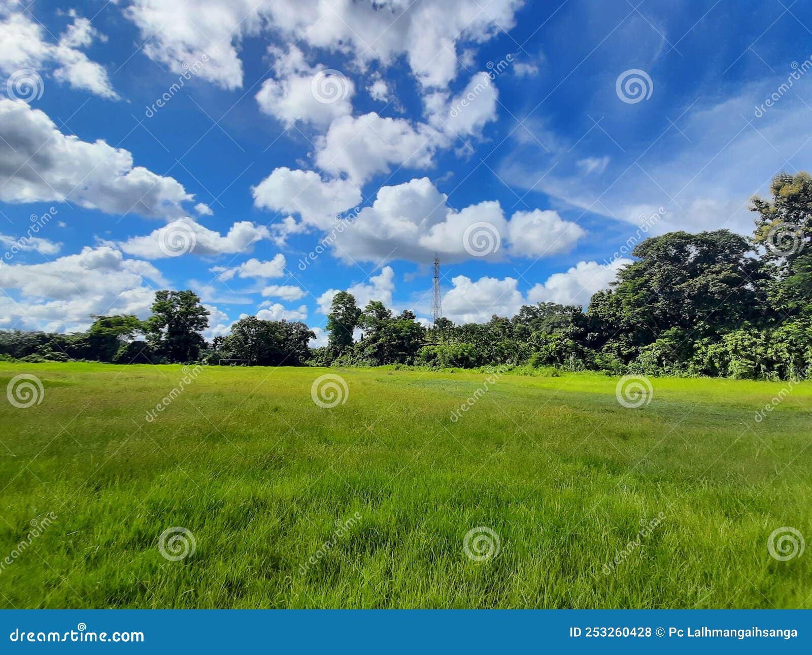Green grass with cloud stock photo. Image of prairie - 253260428