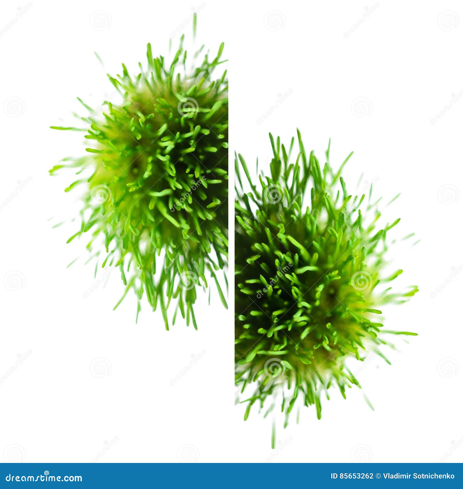 Green grass collage stock photo. Image of couple, garden - 85653262