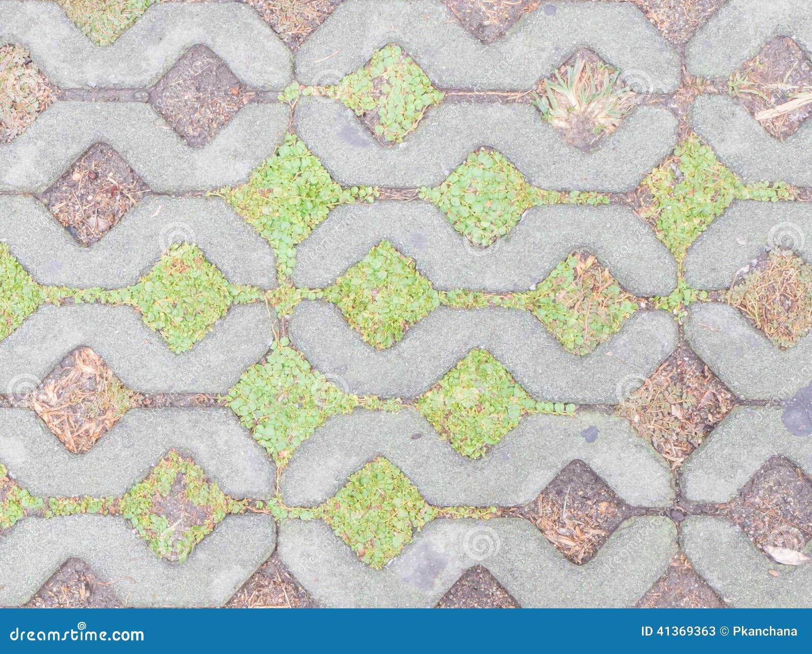 Green Grass in Concrete Block Footpath Stock Image - Image of ...