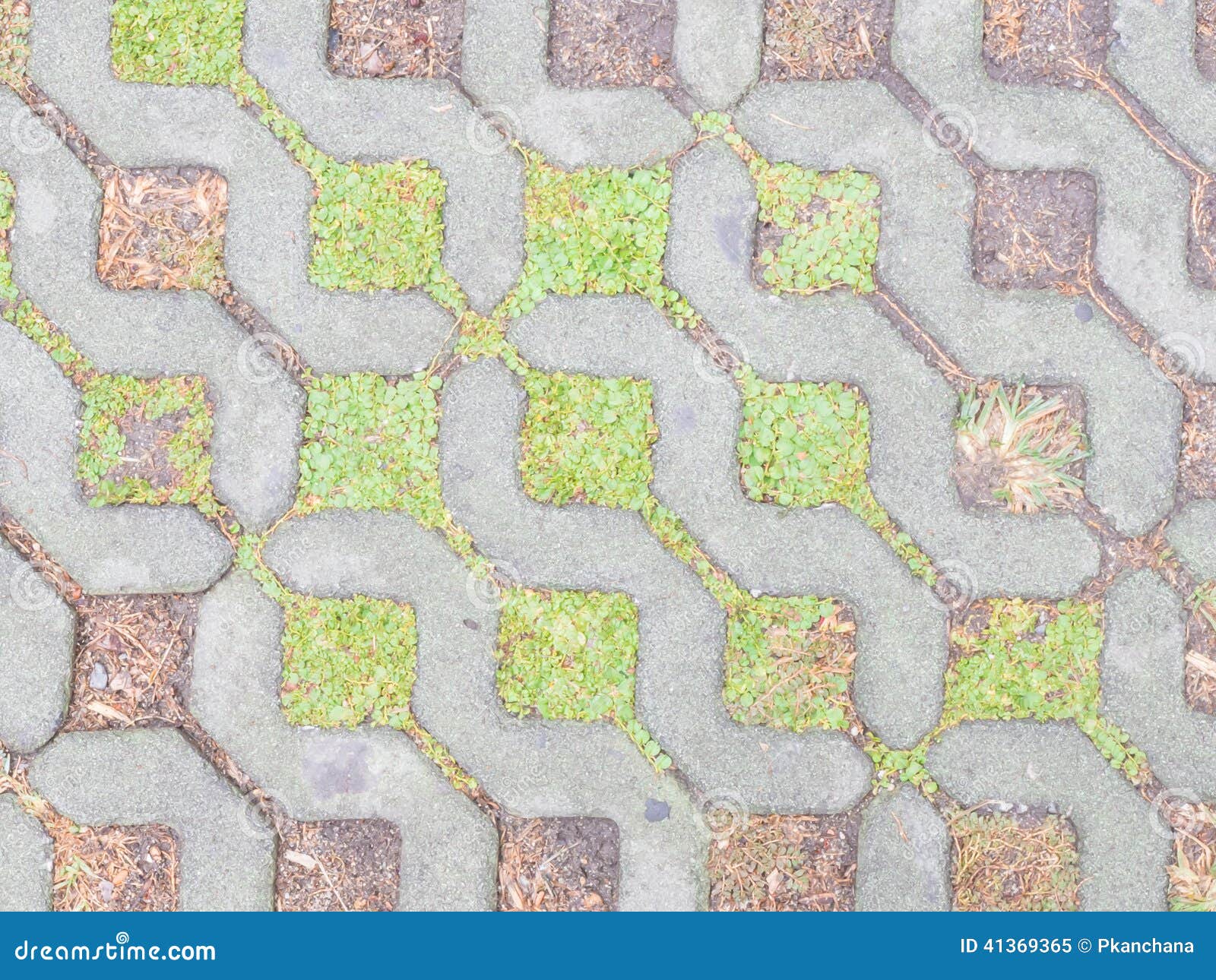 Green Grass in Concrete Block Footpath Stock Image - Image of ground ...