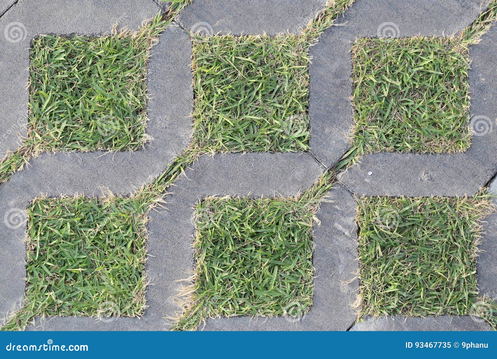 Green Grass and Concrete Block Stock Image - Image of grass, growth ...
