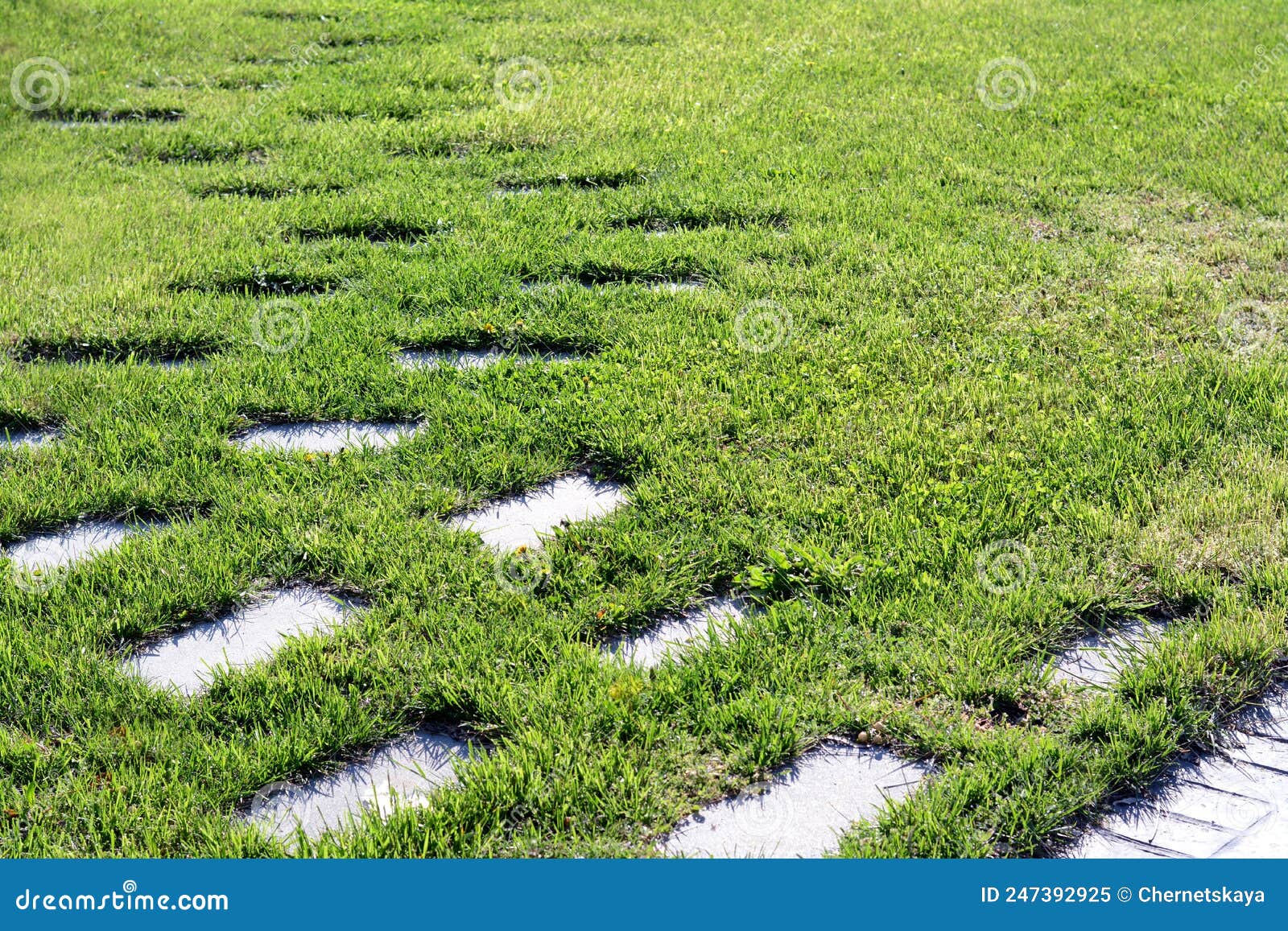 Green Grass with Concrete Paving Blocks Outdoors on Sunny Day Stock ...