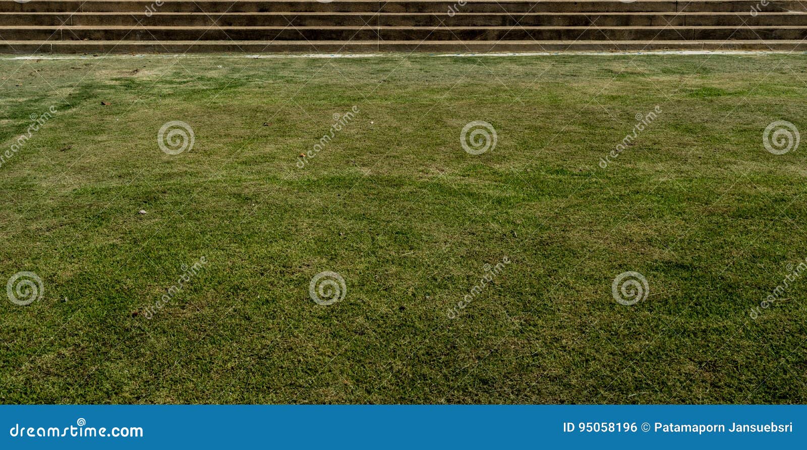 Green Grass with Concrete Stair in the Park Stock Photo - Image of ...