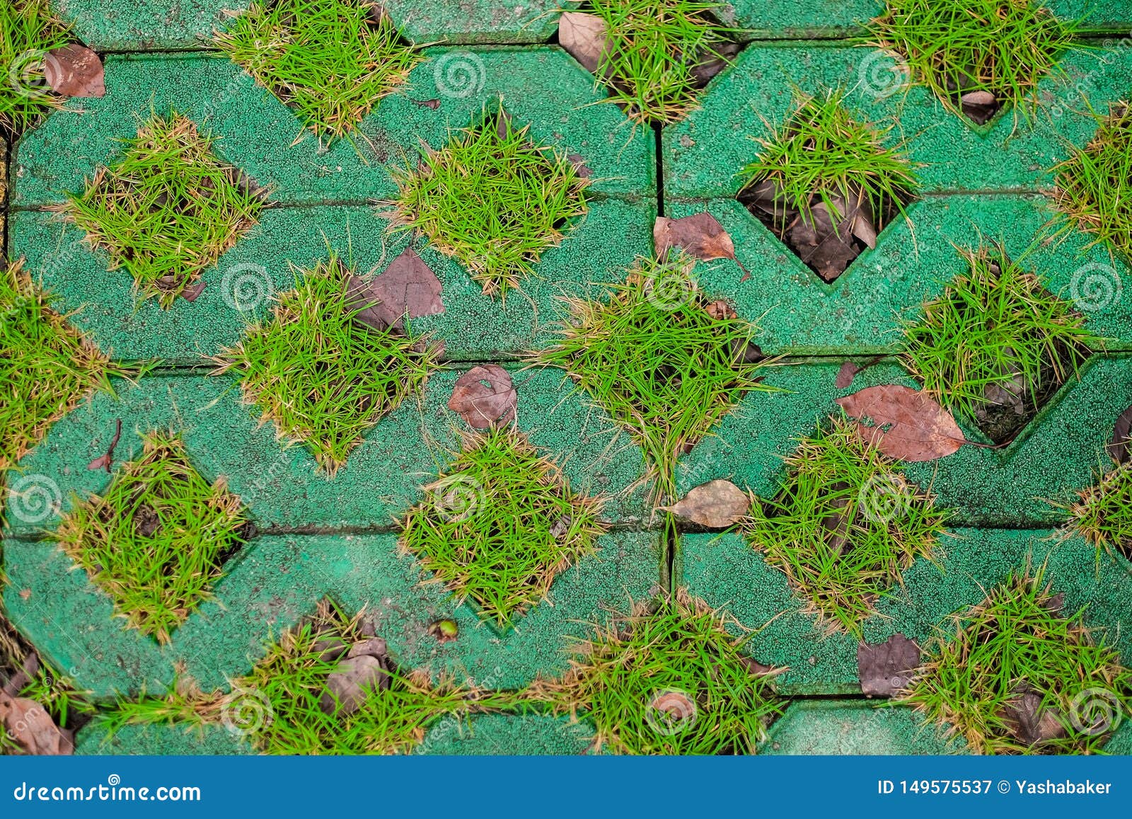Green Grass and Concrete Tiles Stock Image - Image of leaf, growth ...