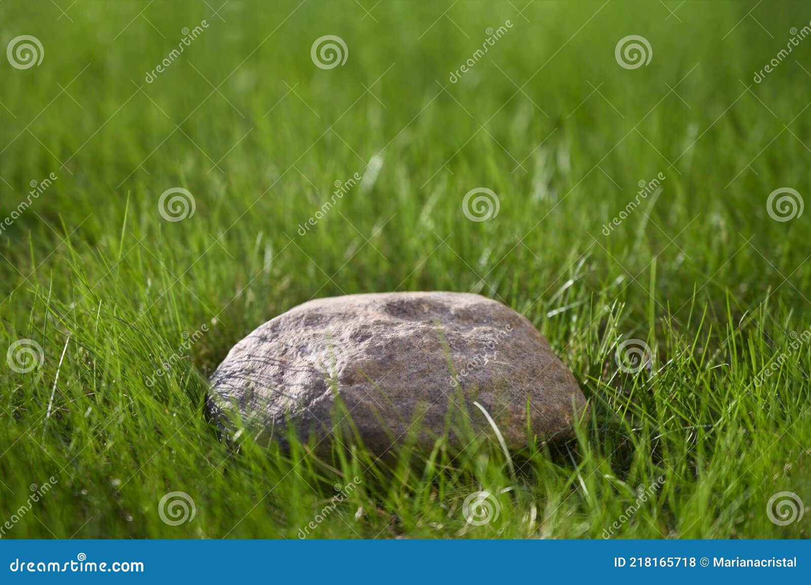 Green Grass with a 3d Podium, Stand Made from Stone. Front View Stock ...
