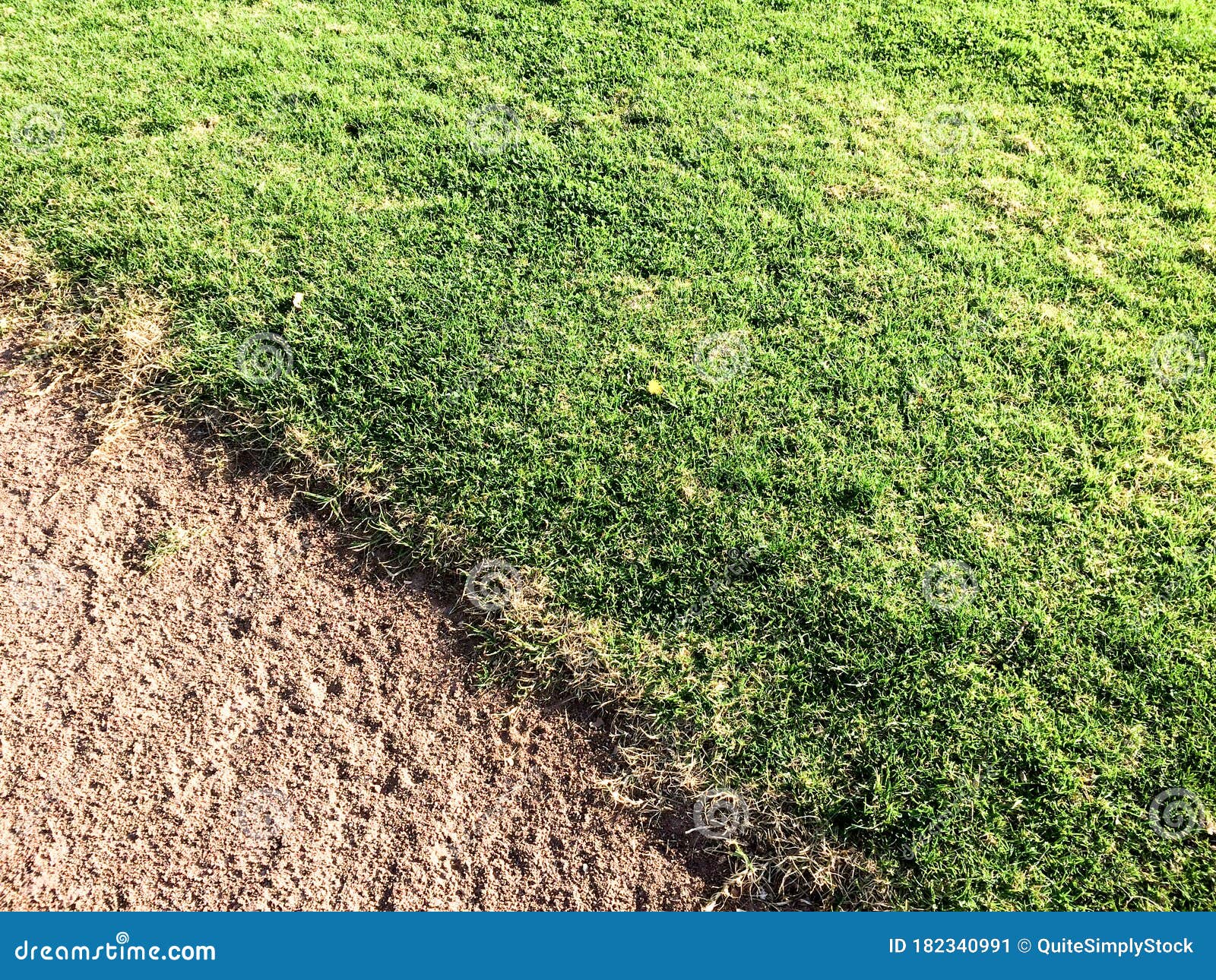 Green Grass and Dirt Design Element Stock Image - Image of background ...