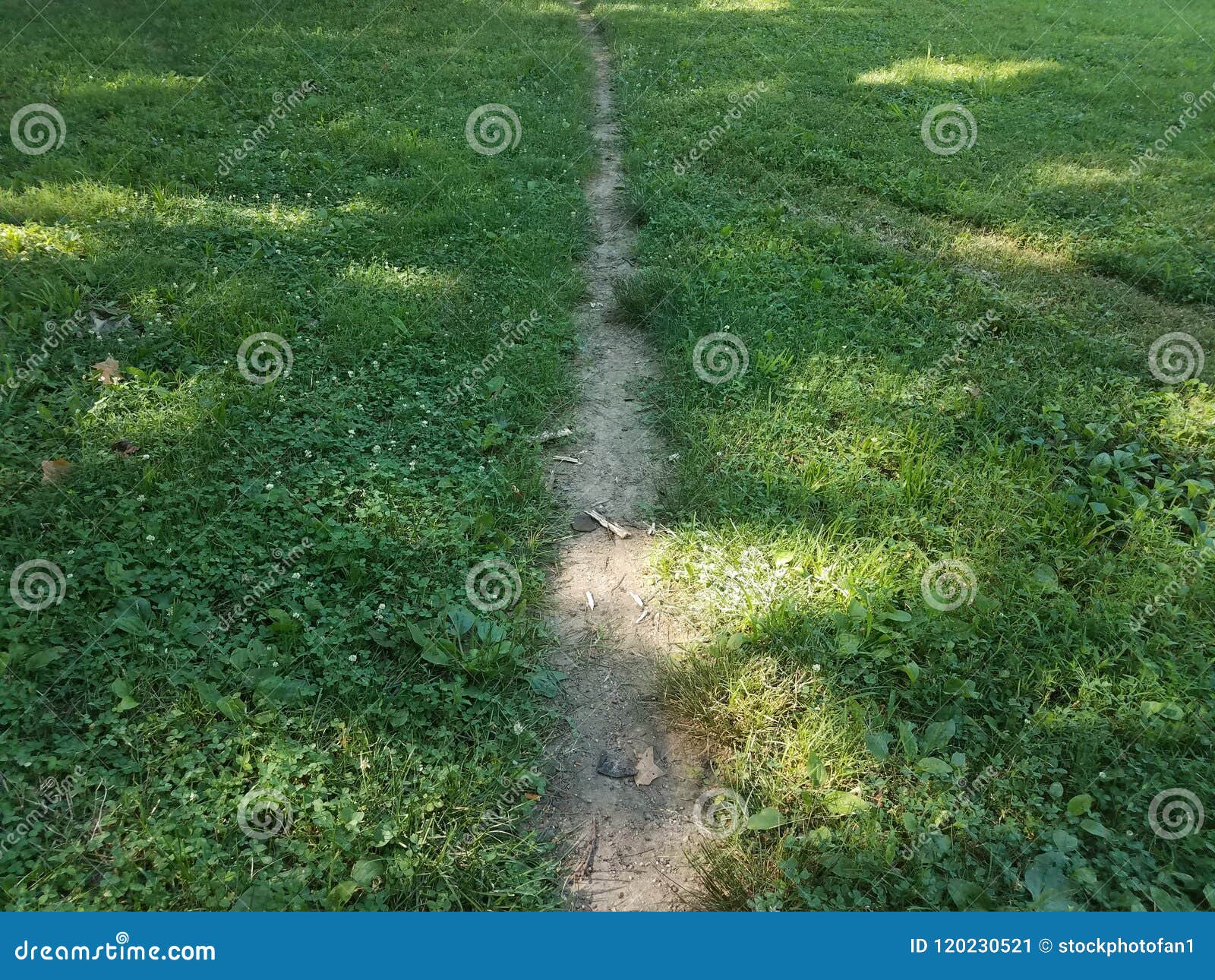 Green Grass with a Dirt Path Stock Image - Image of soil, path: 120230521
