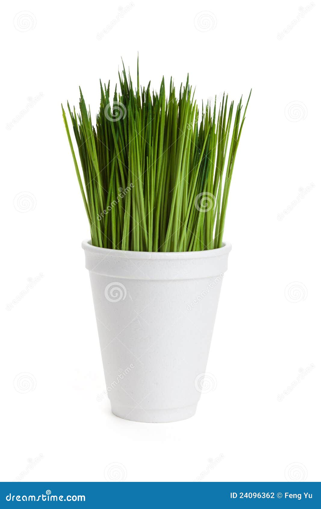 Green Grass and Disposable Cup Stock Photo - Image of white, garbage ...