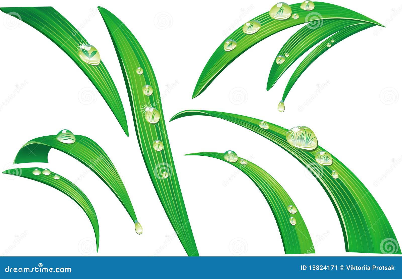 Green grass with drop stock vector. Illustration of green - 13824171