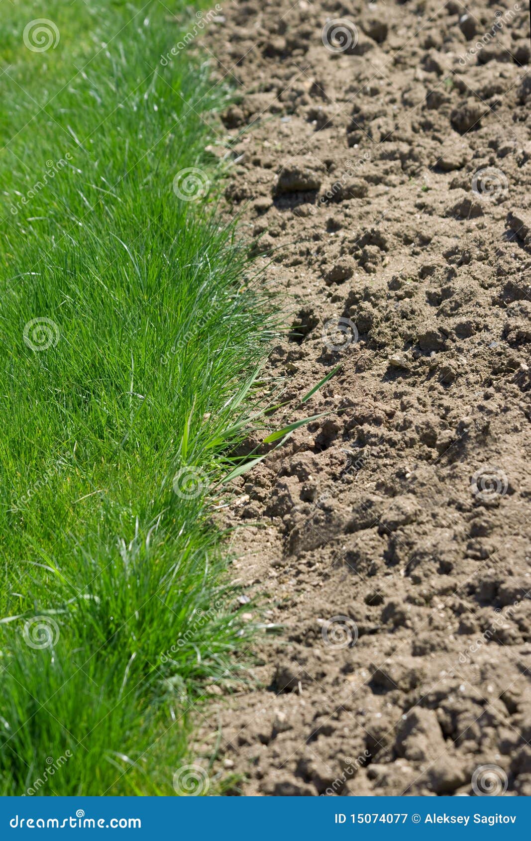Green grass and earth stock image. Image of grass, side - 15074077