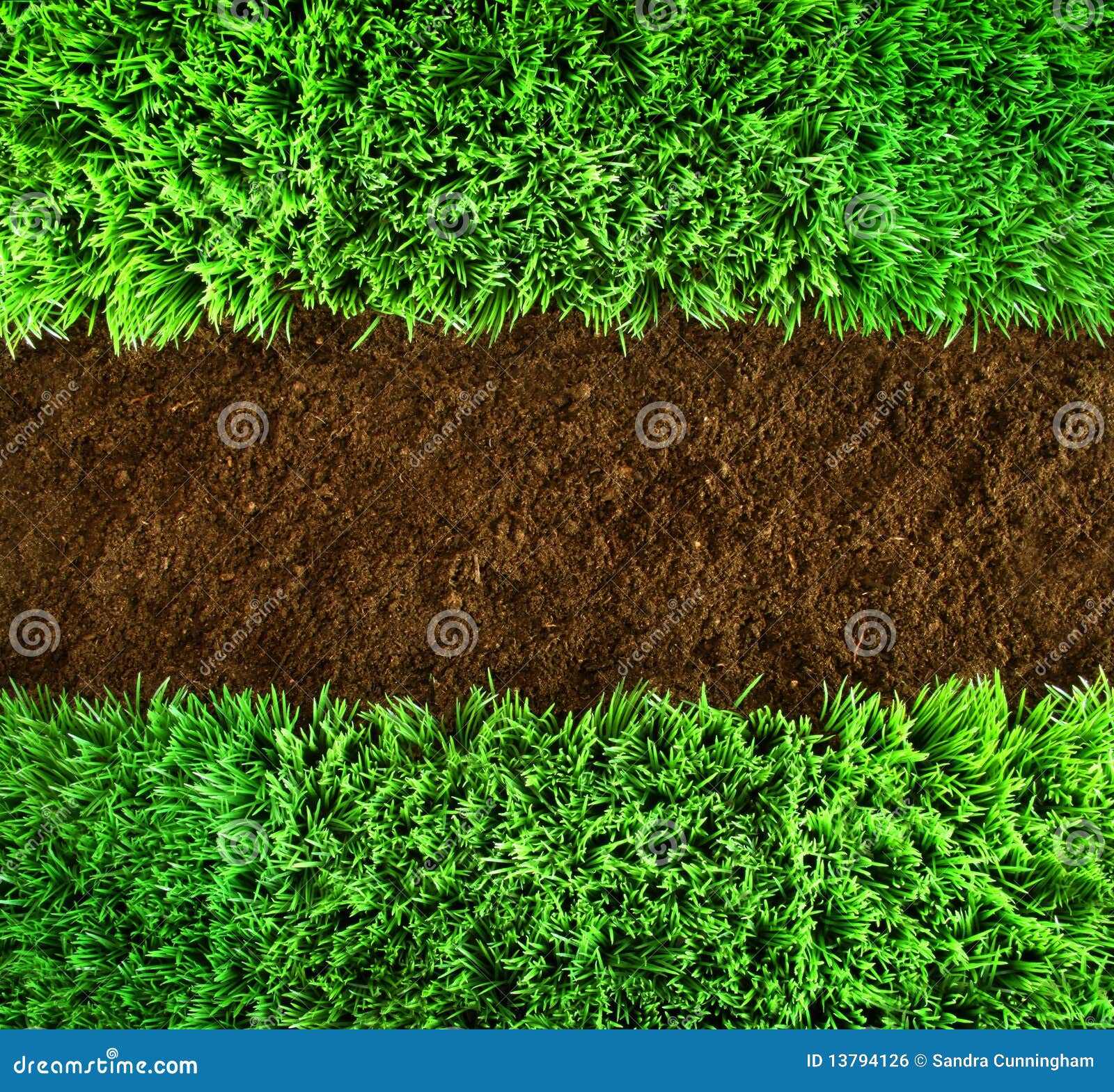 Green Grass and Earth Background Stock Photo - Image of green, close ...