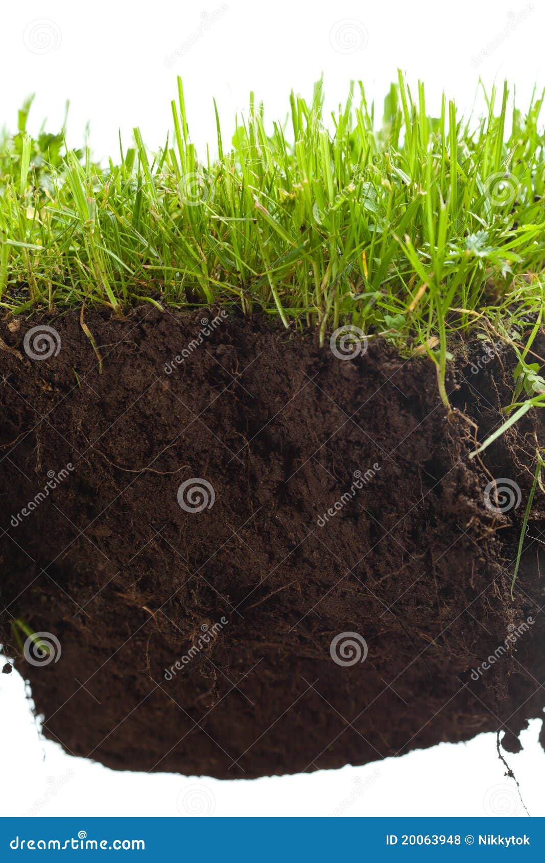 Green Grass with Earth Crosscut Stock Photo - Image of edge, view: 20063948