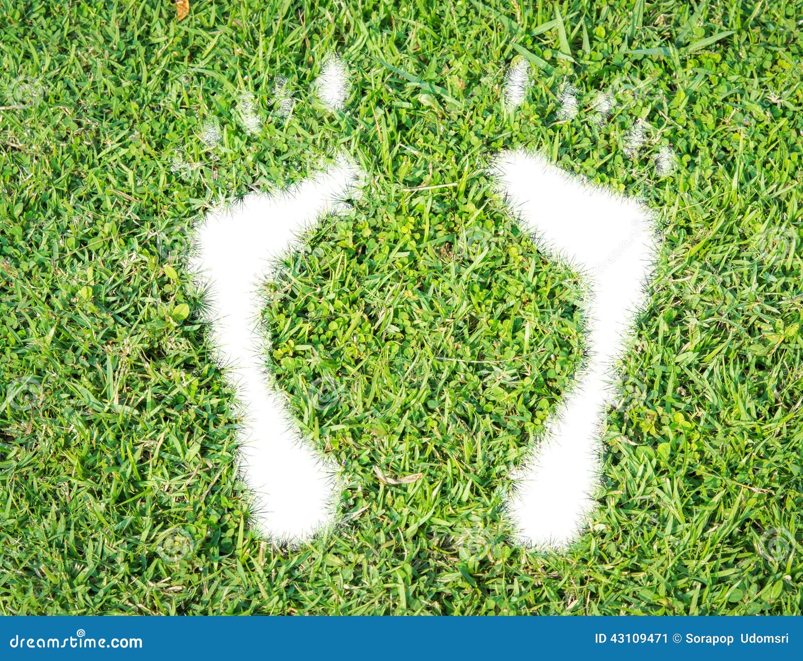 Green Grass Ecological Footprint Concept Stock Image - Image of ...