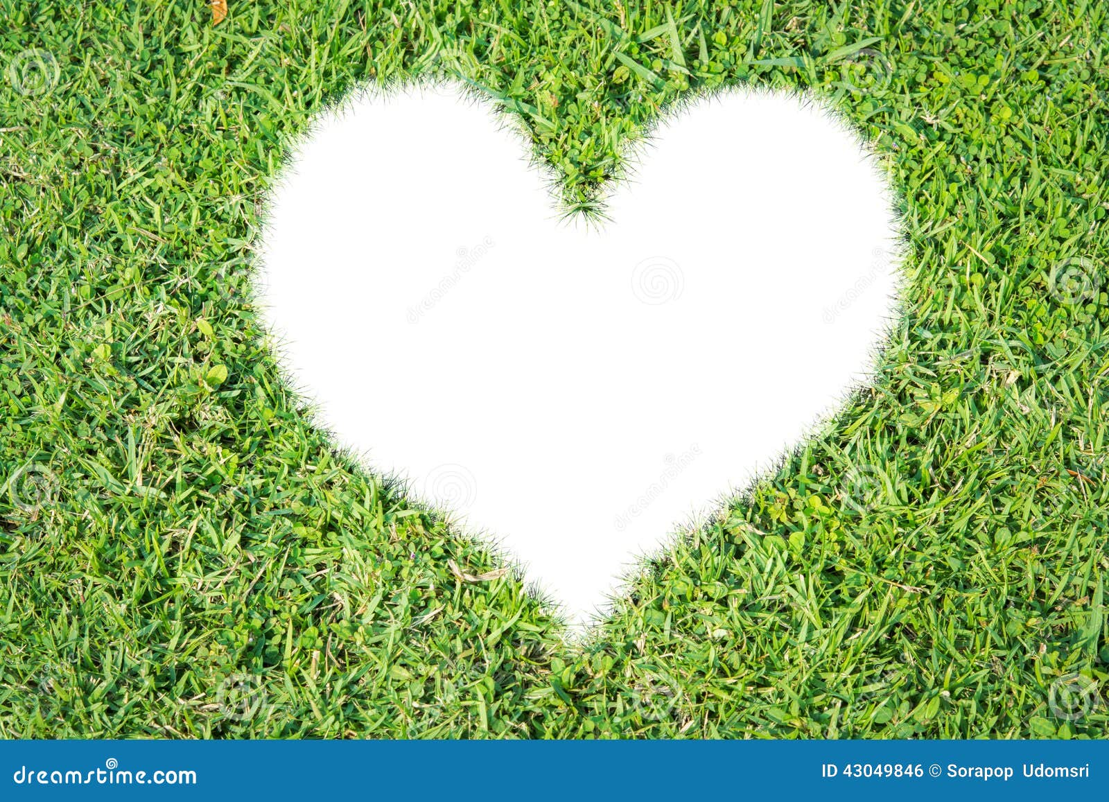 Green Grass Ecological Heart Icon Stock Photo - Image of botany, plant ...