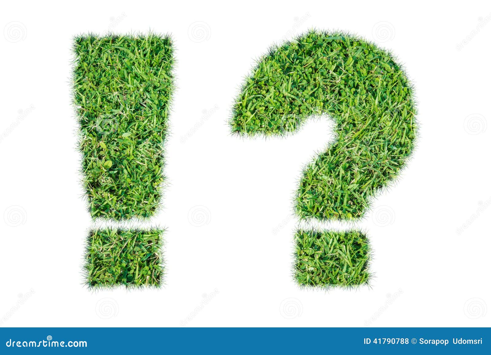 Green Grass Ecological Question and Exclamation Mark Icon Stock ...