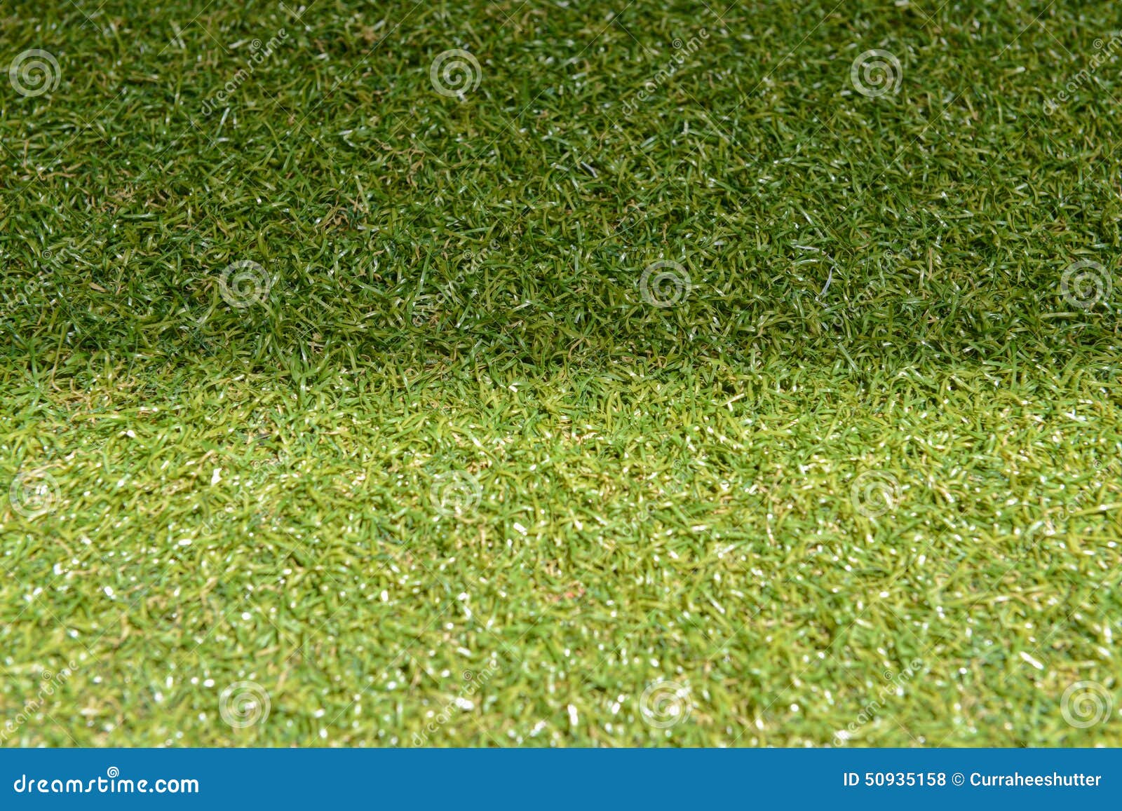Green Grass with Empty Area for Text Background. Nature Background ...