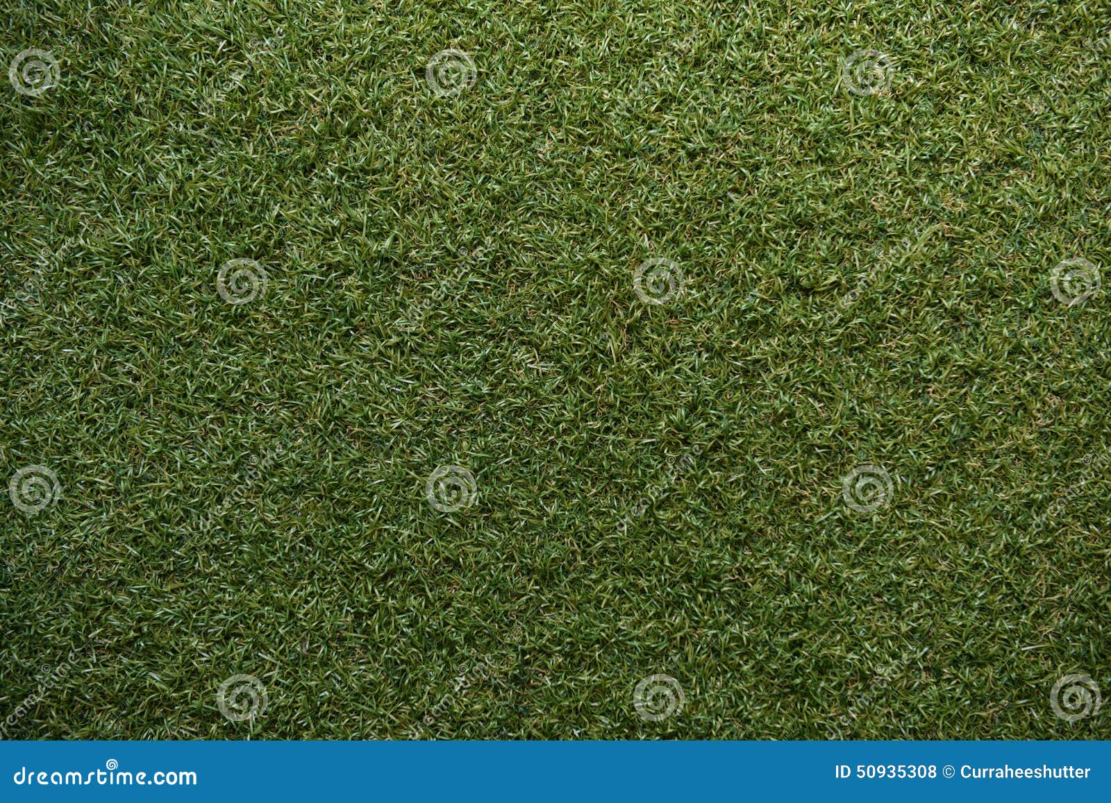 Green Grass with Empty Area for Text Background. Nature Background ...