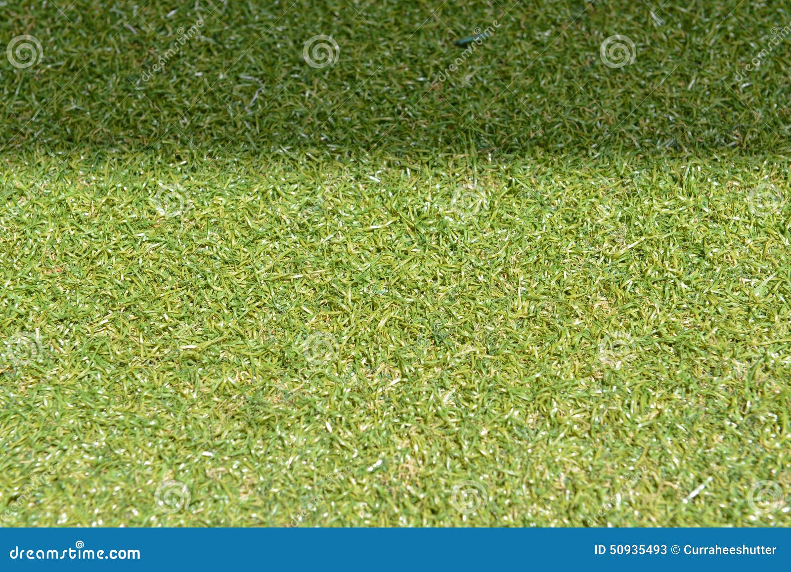 Green Grass with Empty Area for Text Background. Nature Background ...